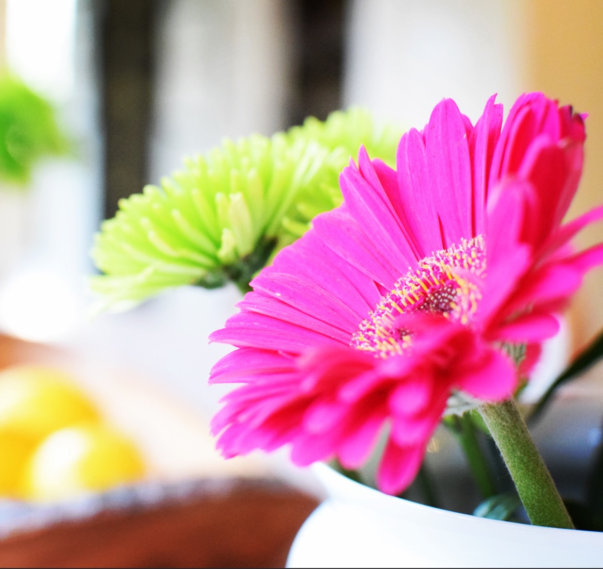 How to Design a Happy and Healthy Home and Life - BarbaraFicarra.com